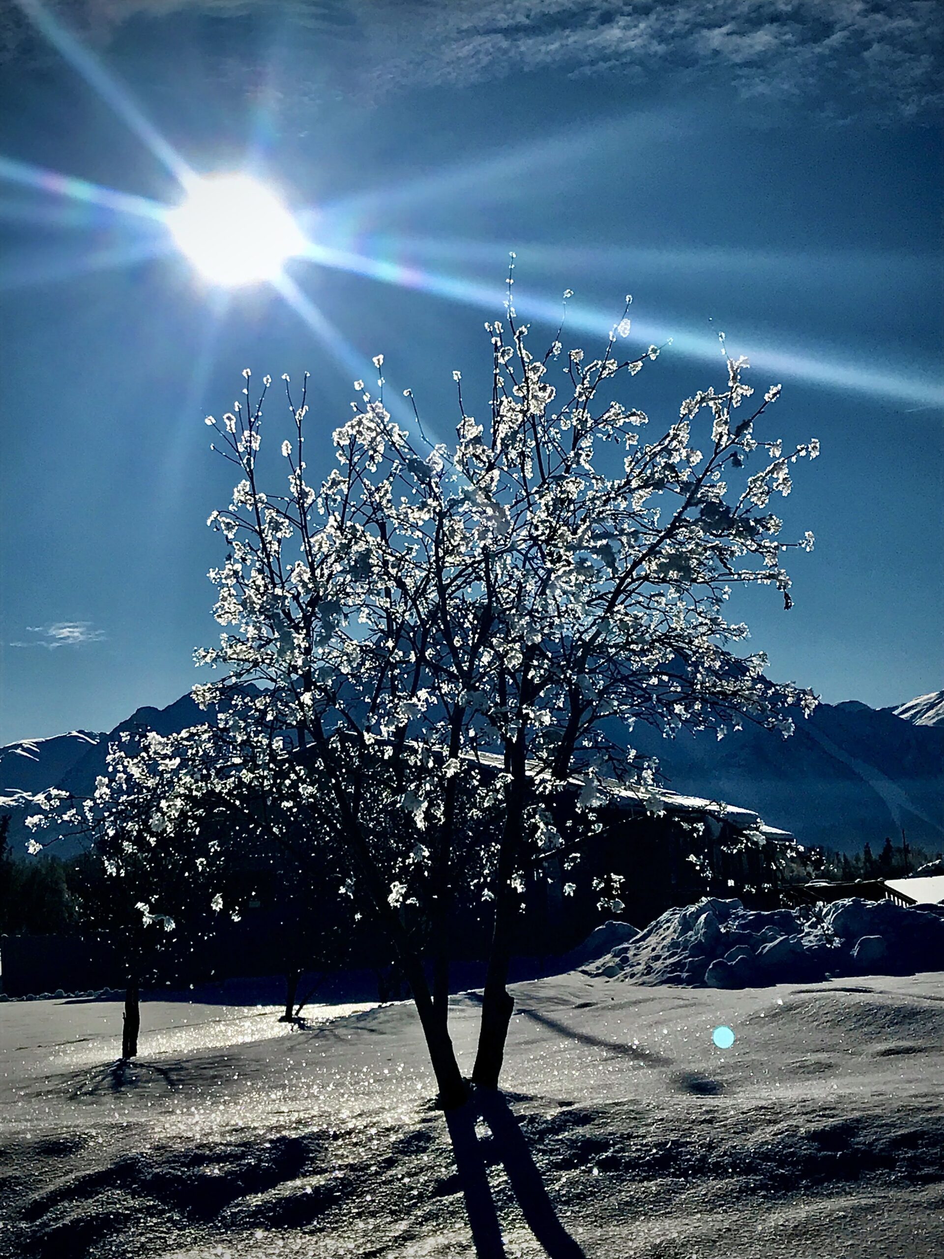 Five Reasons Alaska is a great Spring Break Destination - Vacation ...